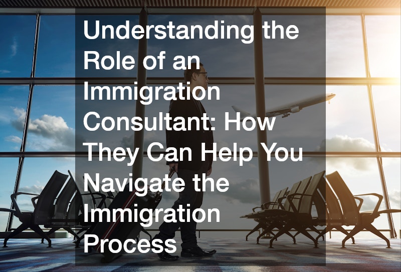 Understanding the Role of an Immigration Consultant How They Can Help ...